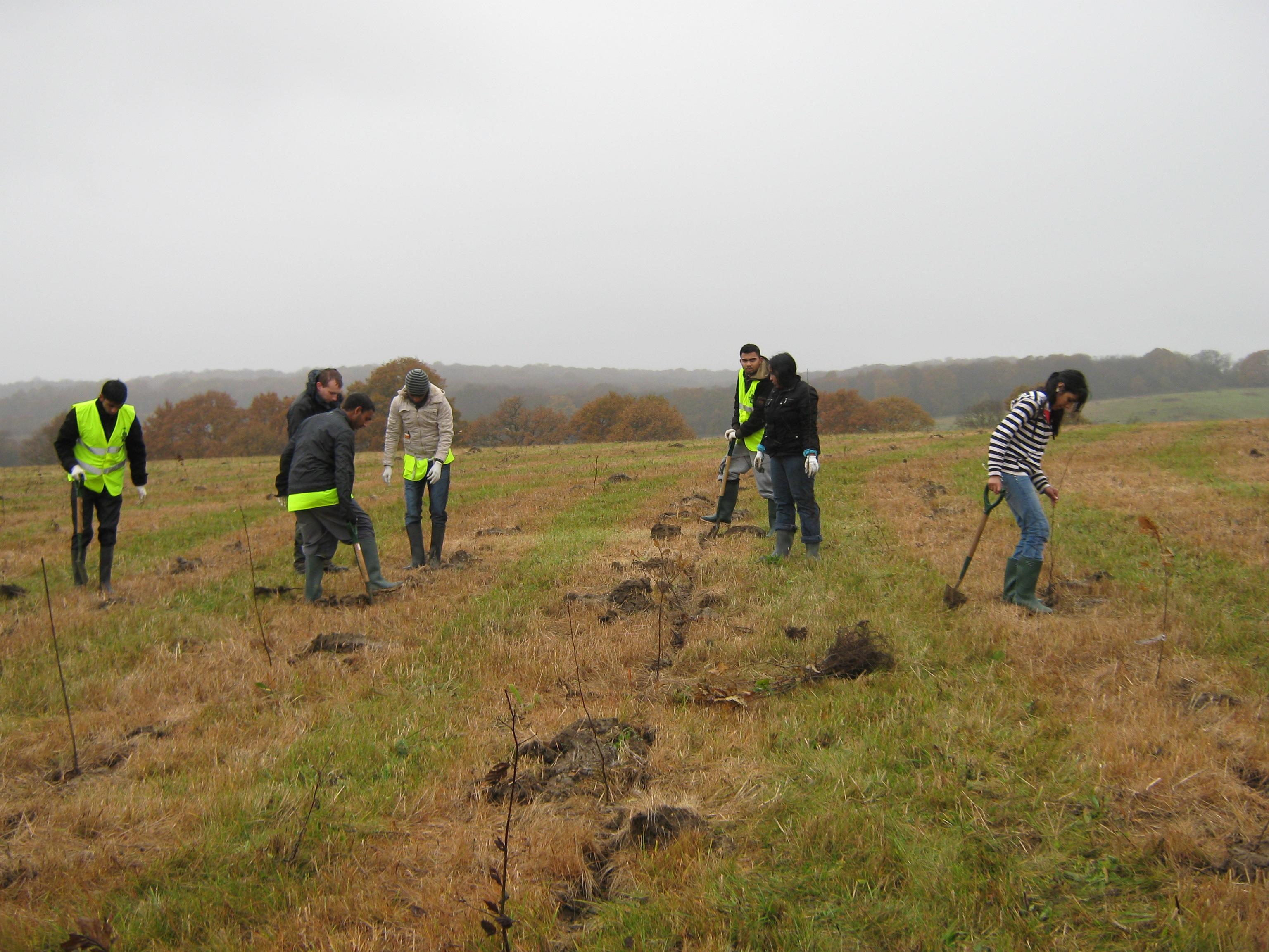 Tree planting at Woodland Trust